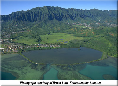Historic Hawaii Foundation News: Guided Tour and "Fishpond Experience ...